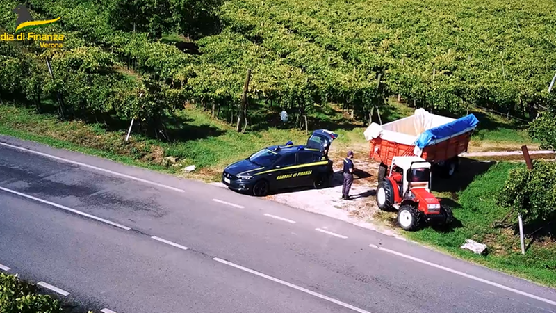 Foto: L'operazione delle Fiamme Gialle a Soave | L'Arena Foto: L'operazione delle Fiamme Gialle a Soave | L'Arena